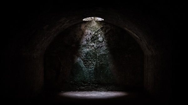 test - My Little Coco